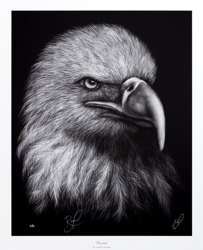 The Fine Art Auction welcomes wildlife painter Ashley Rader » The Fine ...